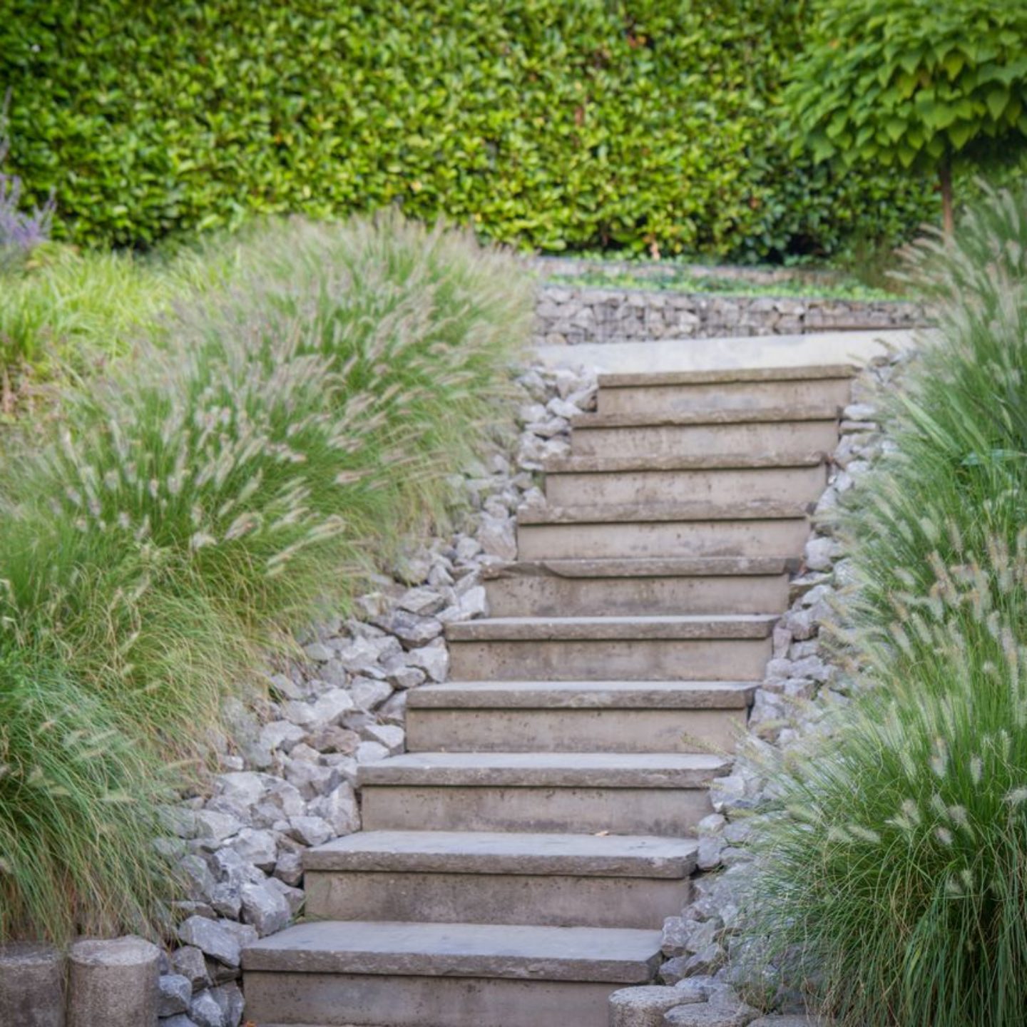 Plantation d'un talus (graminées) - D-Vert