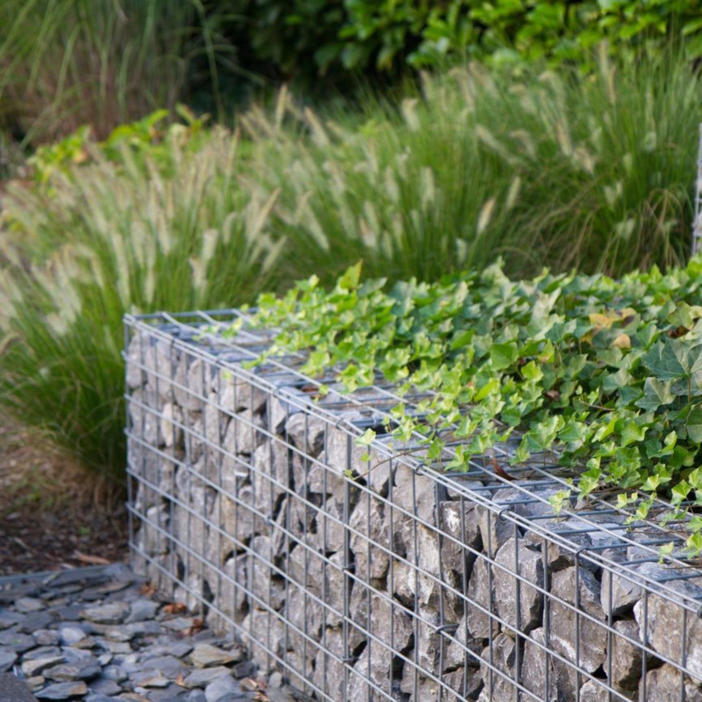 Plantation d'un talus (graminées) - D-Vert