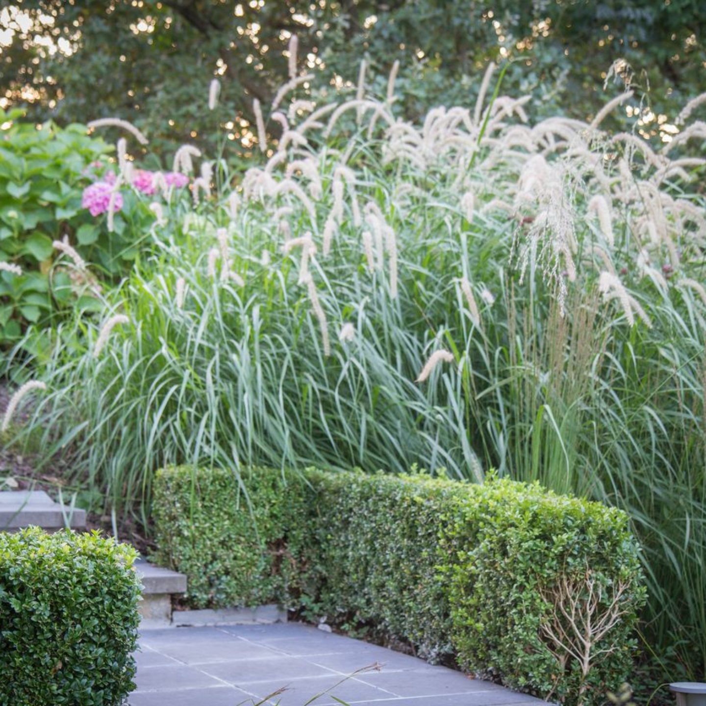 Plantation d'un talus (graminées) - D-Vert
