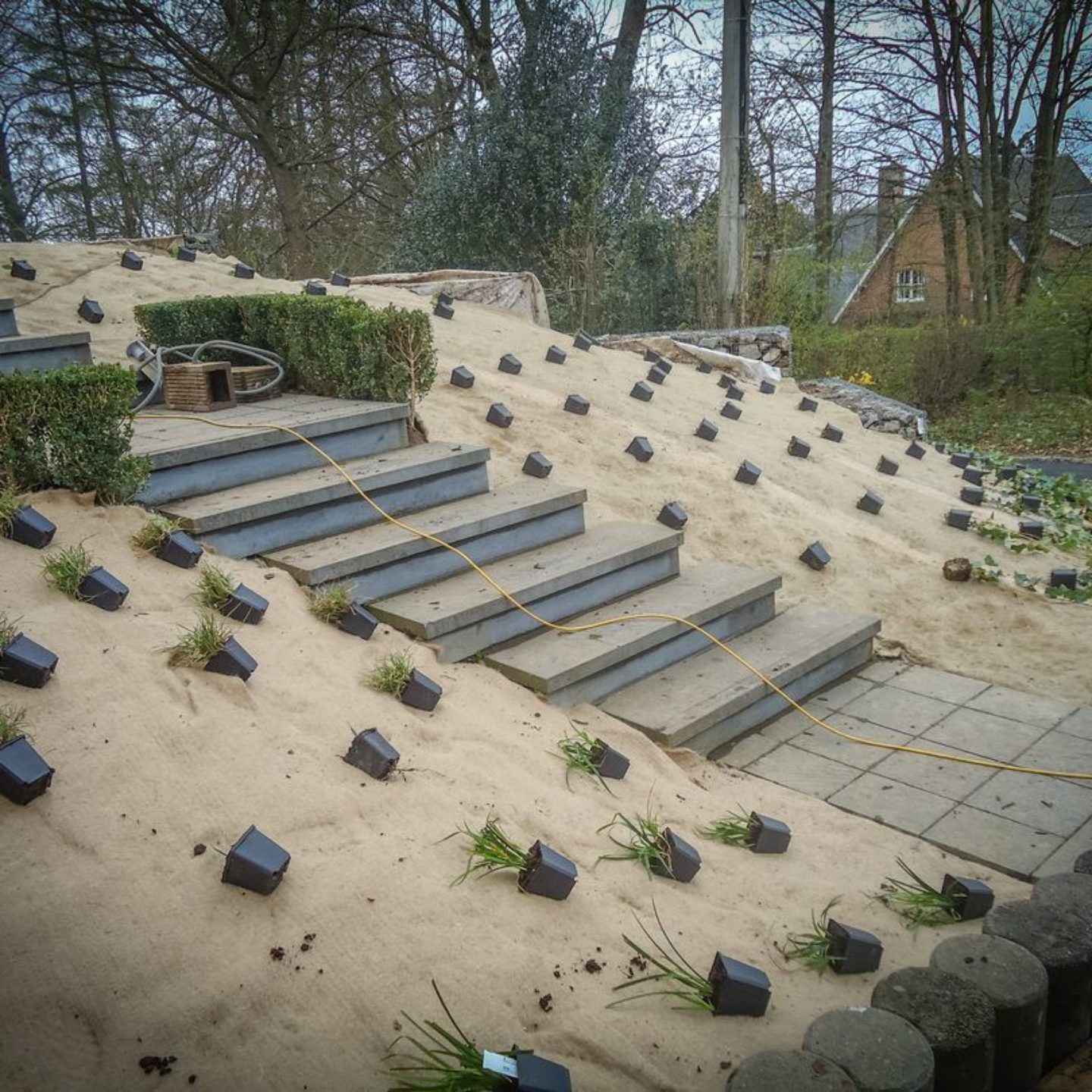 Plantation d'un talus (graminées) - D-Vert