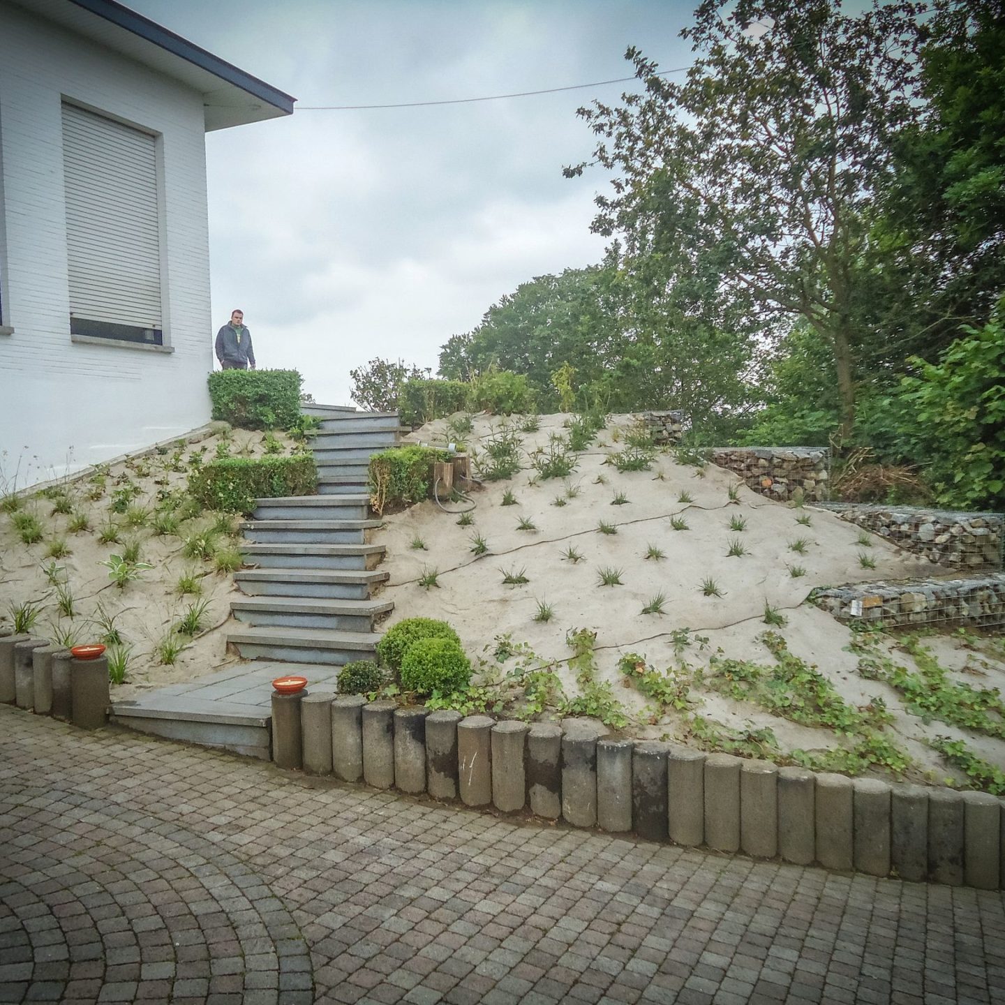 Plantation d'un talus (graminées) - D-Vert